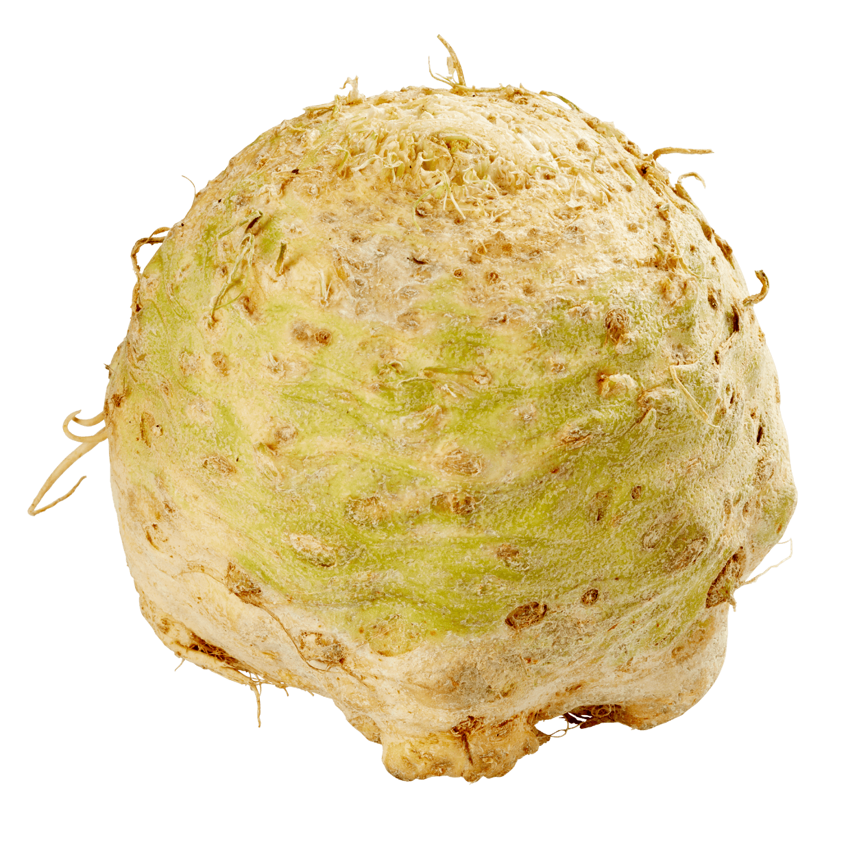 Knolselder kopen bij ALDI België