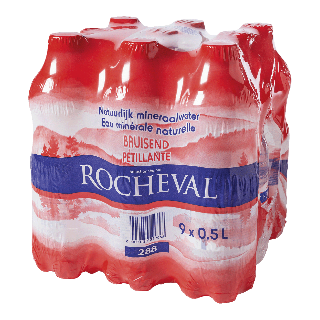 Sterk bruisend natuurlijk mineraalwater, 9 st. ROCHEVAL® kopen bij ALDI ...