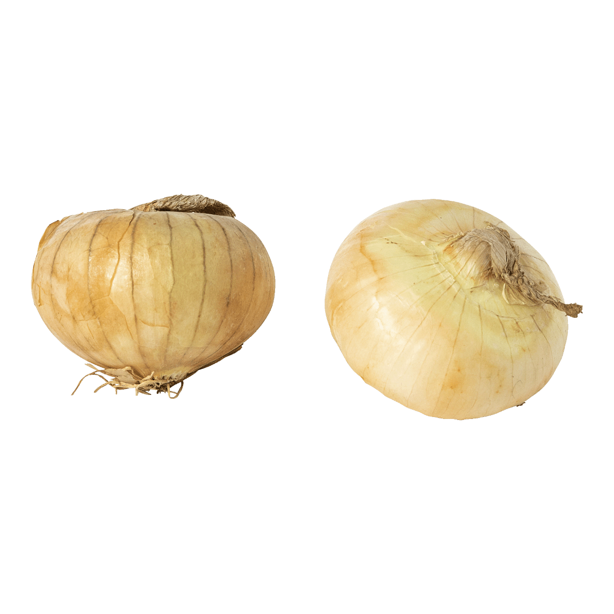 Uien, 2 st. kopen bij ALDI België