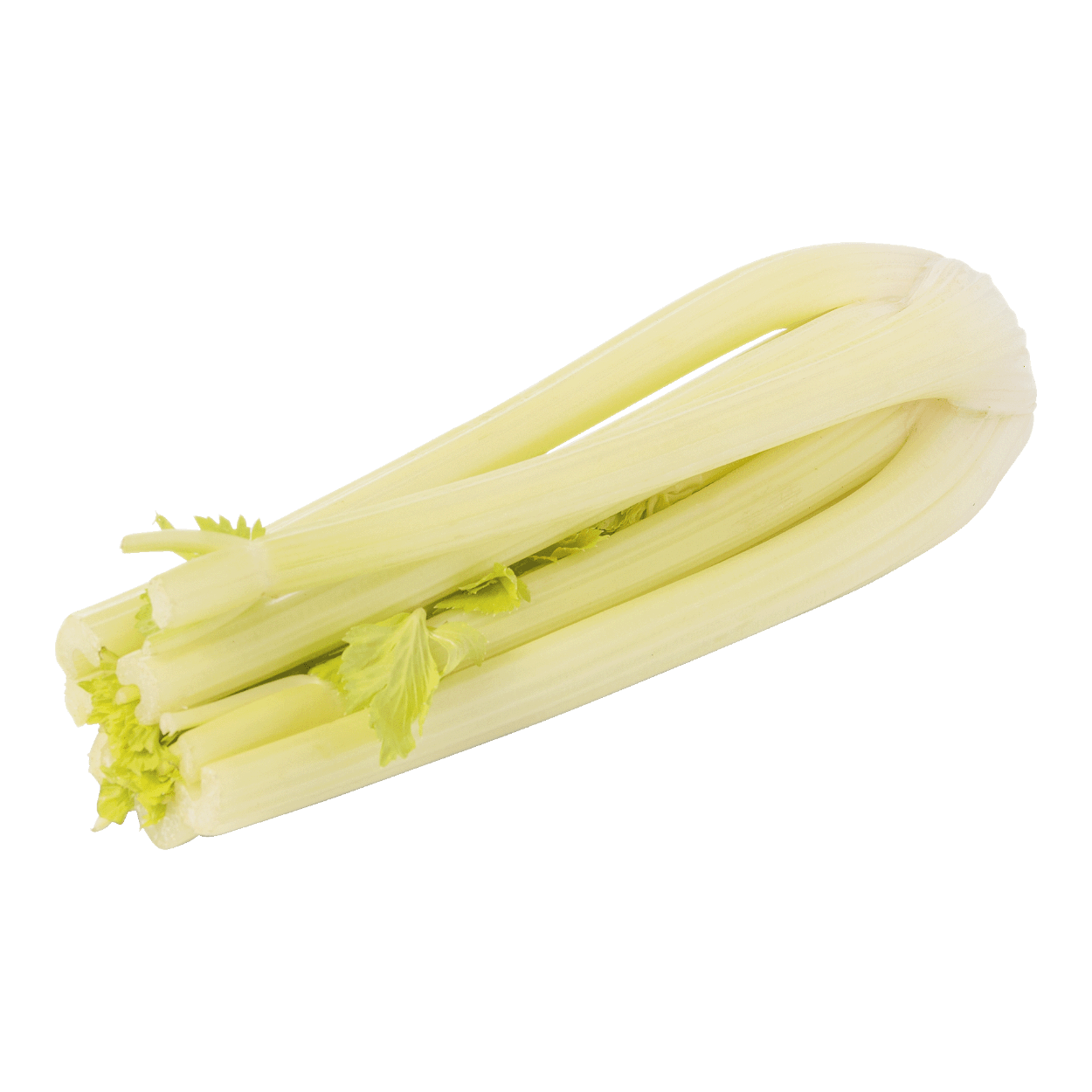 Witte selder kopen bij ALDI België