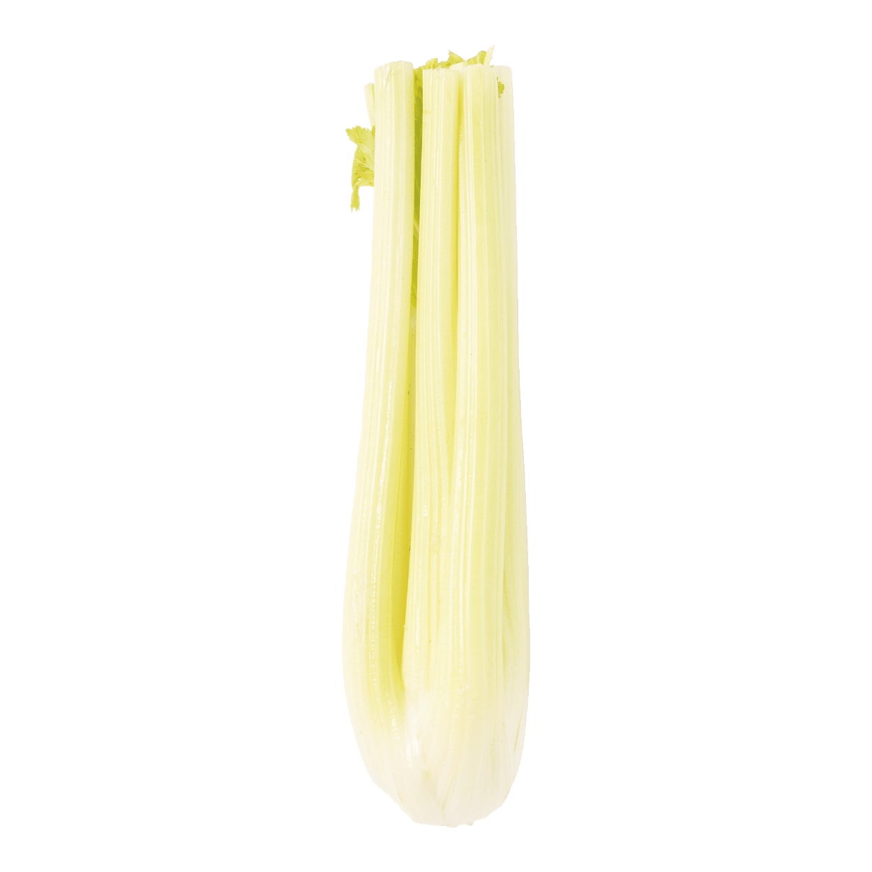 Witte selder kopen bij ALDI België