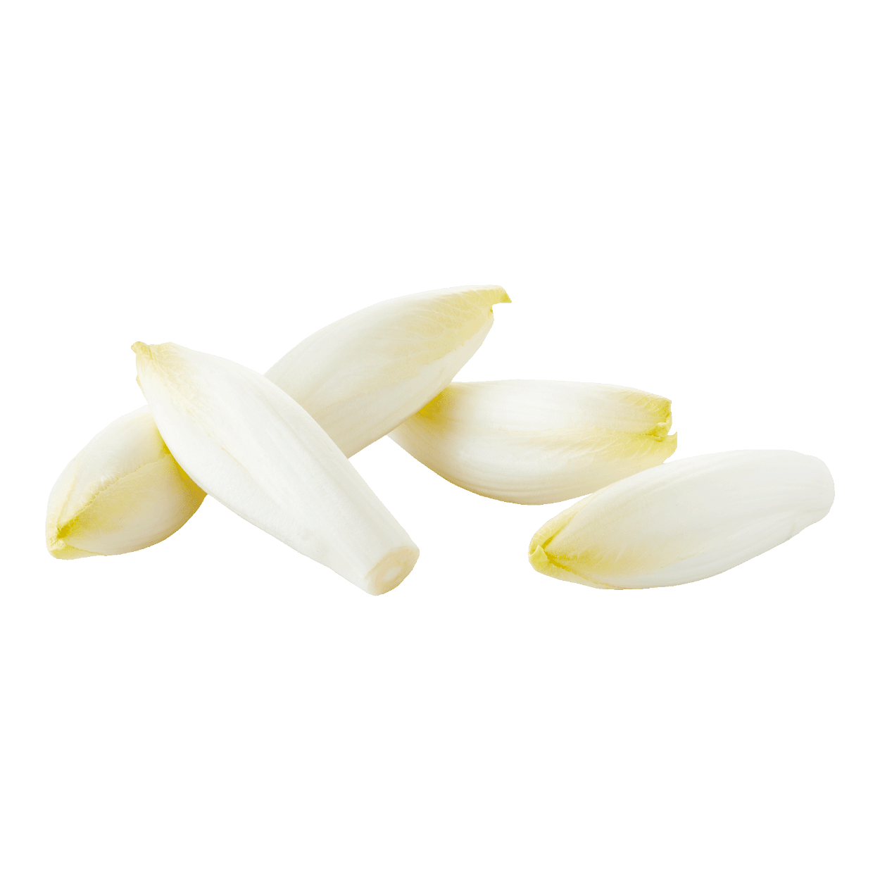 Witloof kopen bij ALDI België