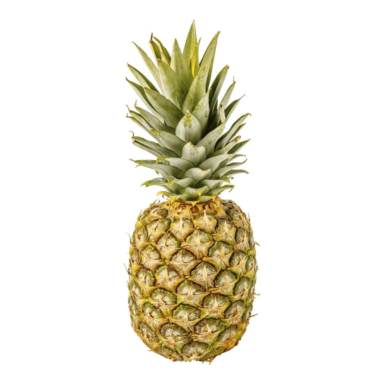 Ananas kopen bij ALDI België