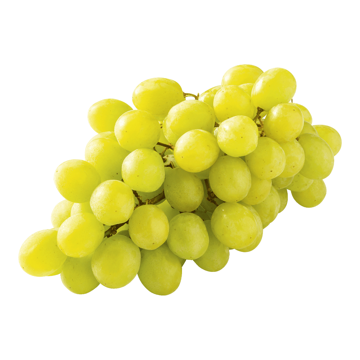 Pitloze witte druiven kopen bij ALDI België