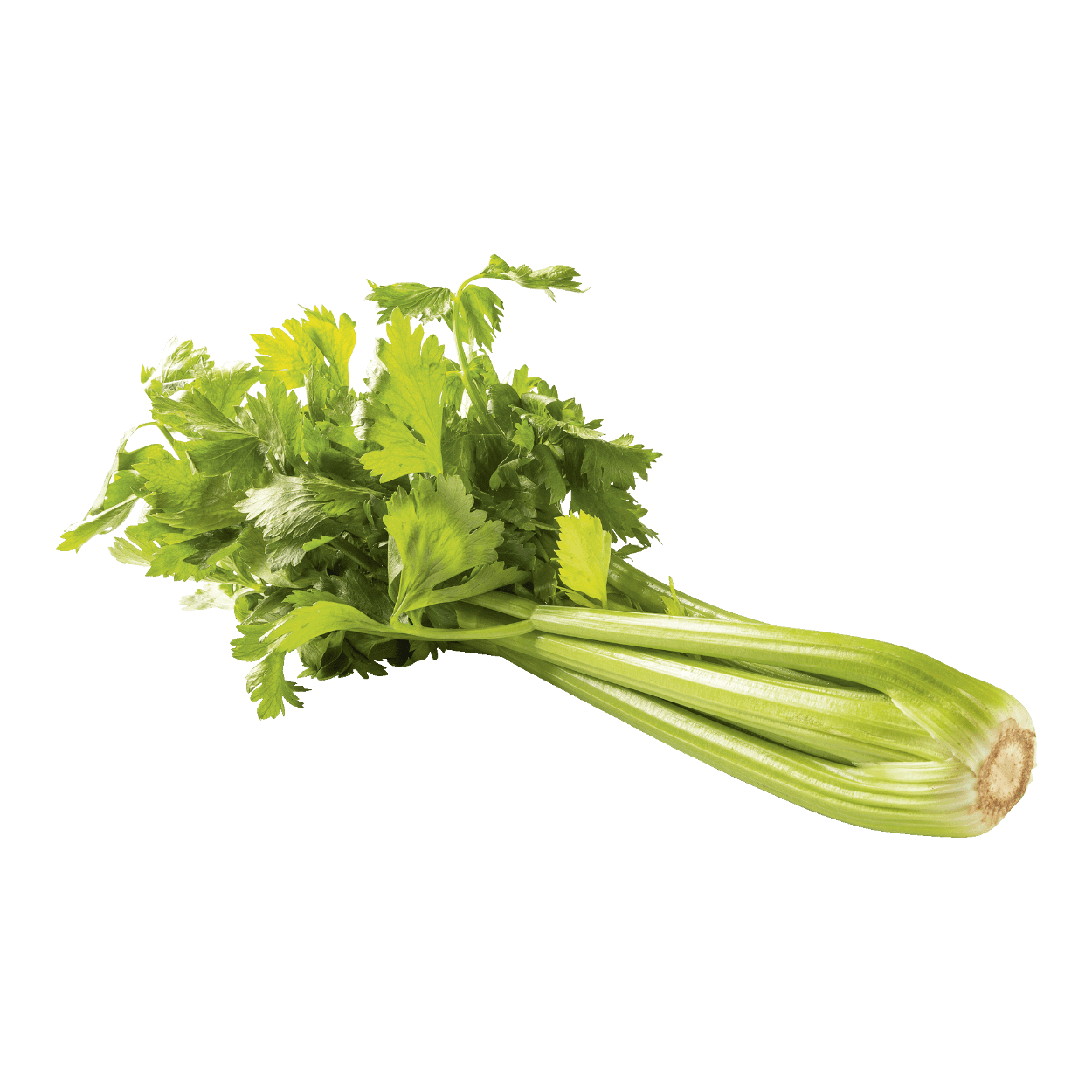 Groene selder kopen bij ALDI België