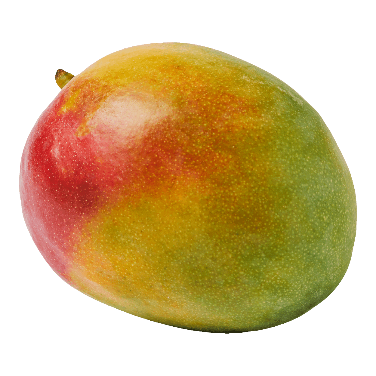 Mango kopen bij ALDI België