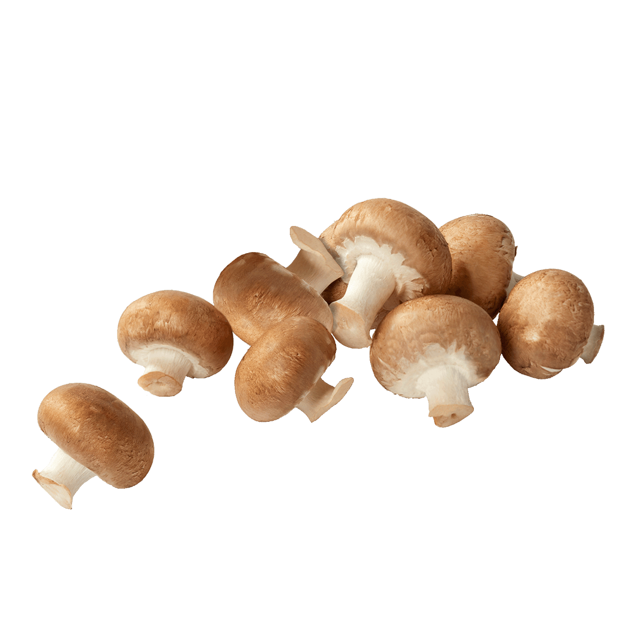 Champignons blonds bon marché chez ALDI