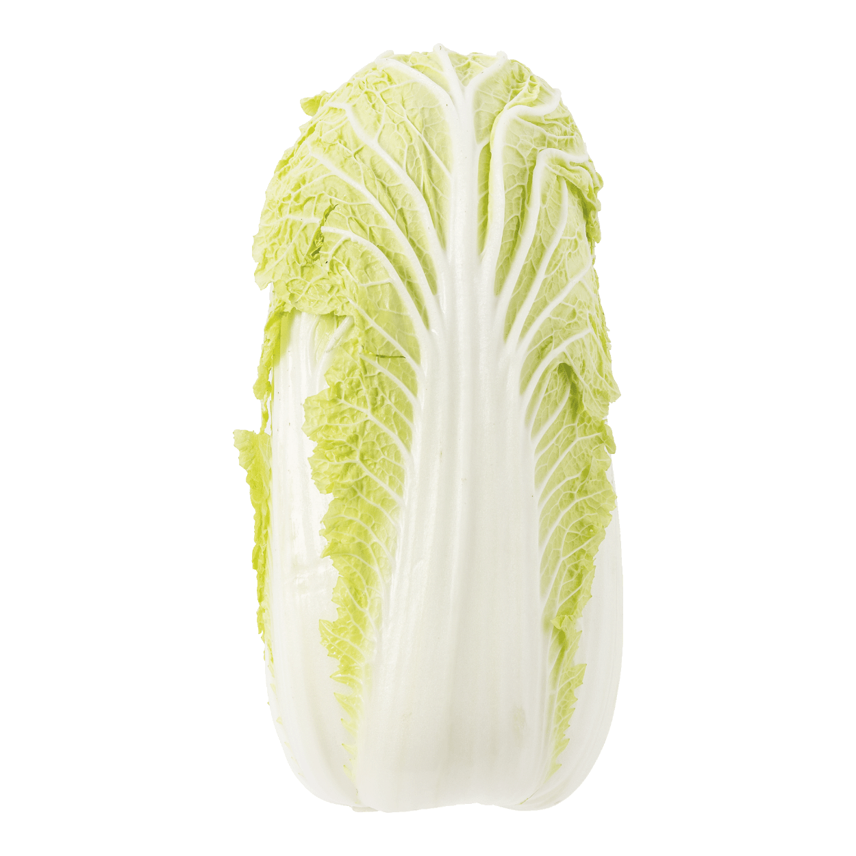 Chinese kool kopen bij ALDI België