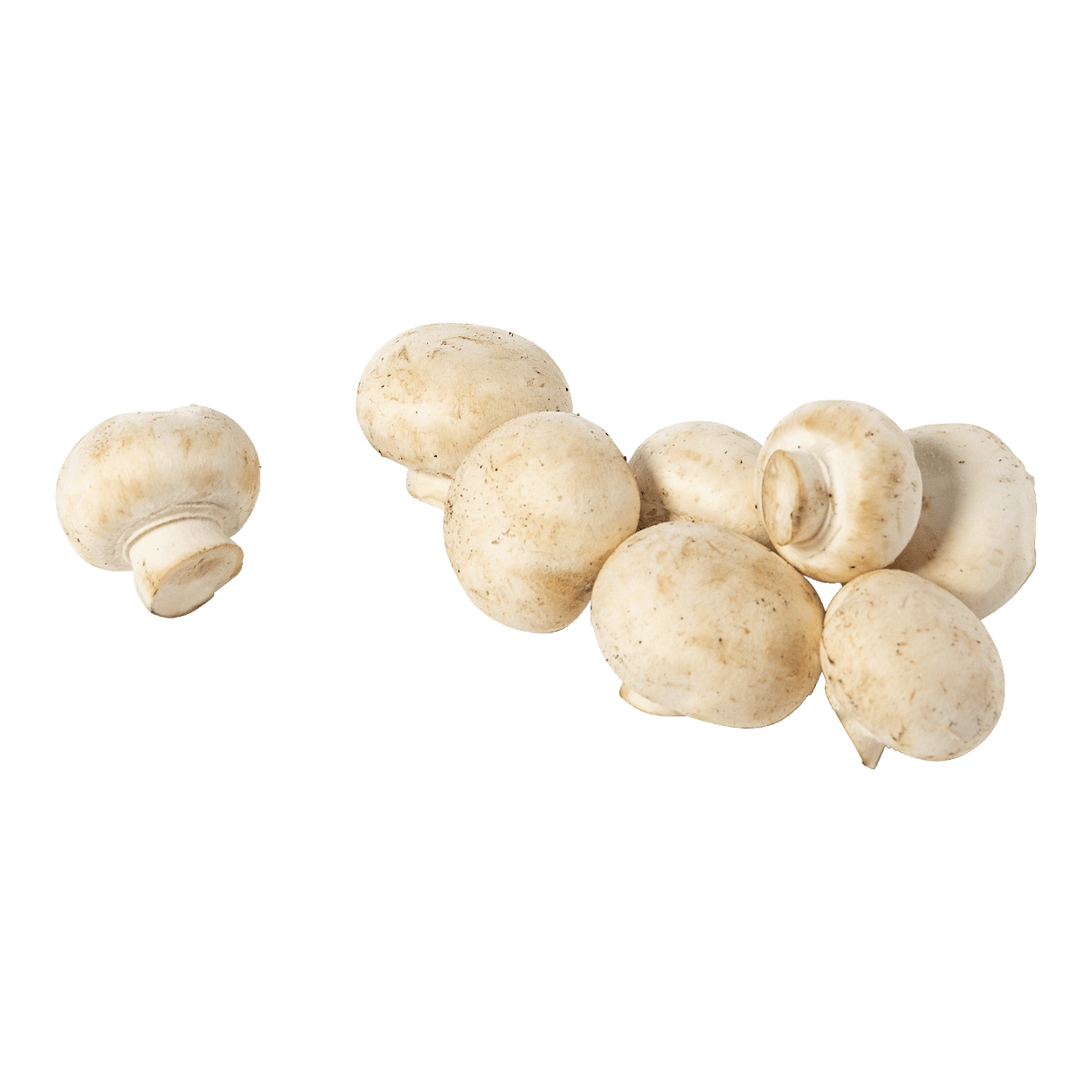 Fijne champignons kopen bij ALDI België