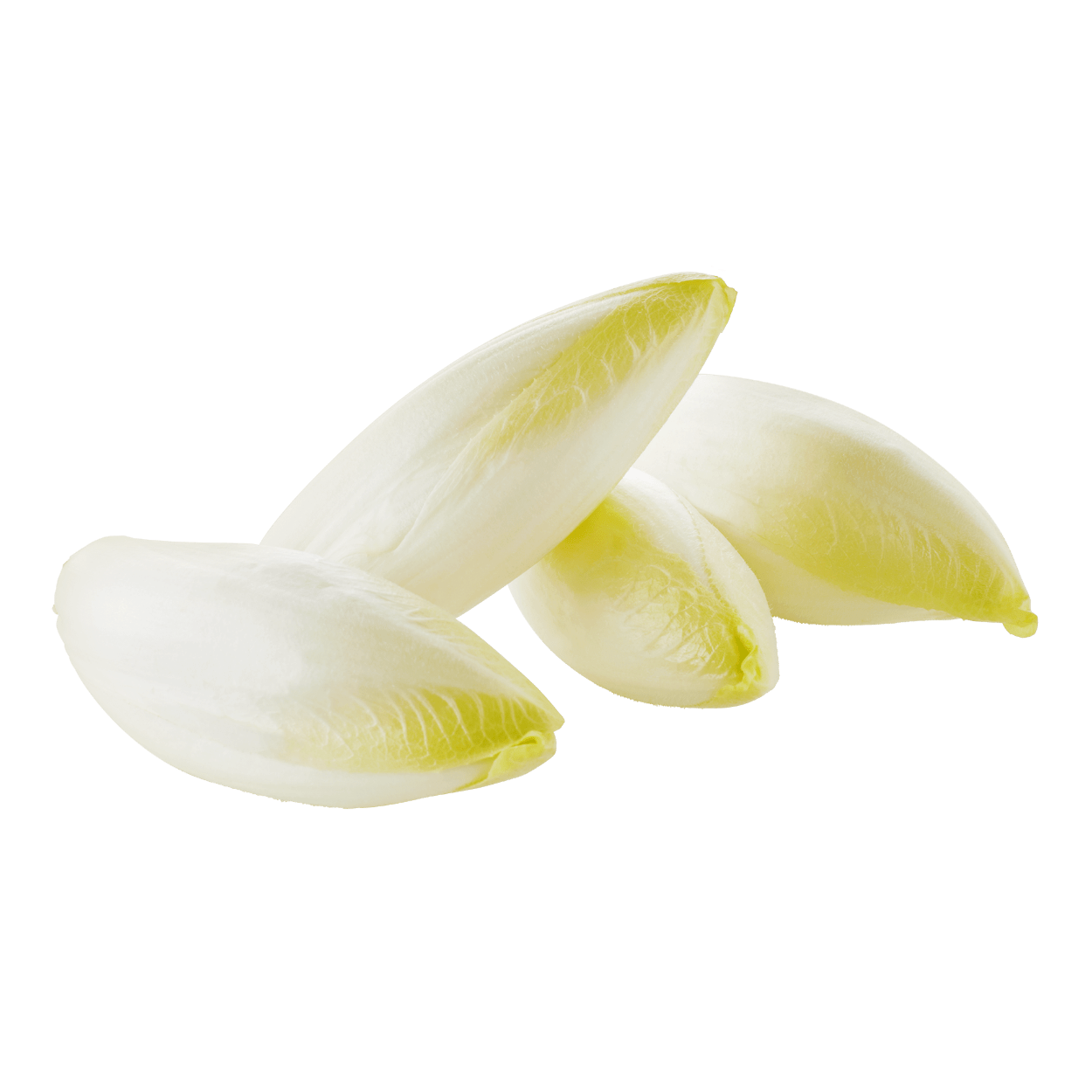 Witloof kopen bij ALDI België