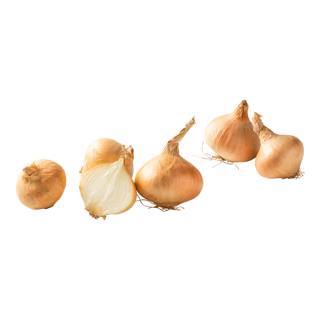 Dikke uien kopen bij ALDI België