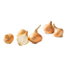 Gros oignons bon marché chez ALDI