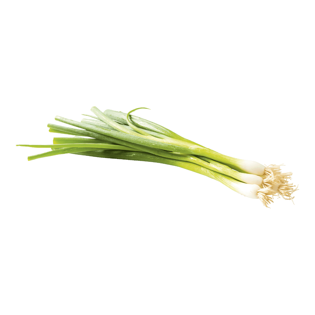 Oignons nouveaux bon marché chez ALDI