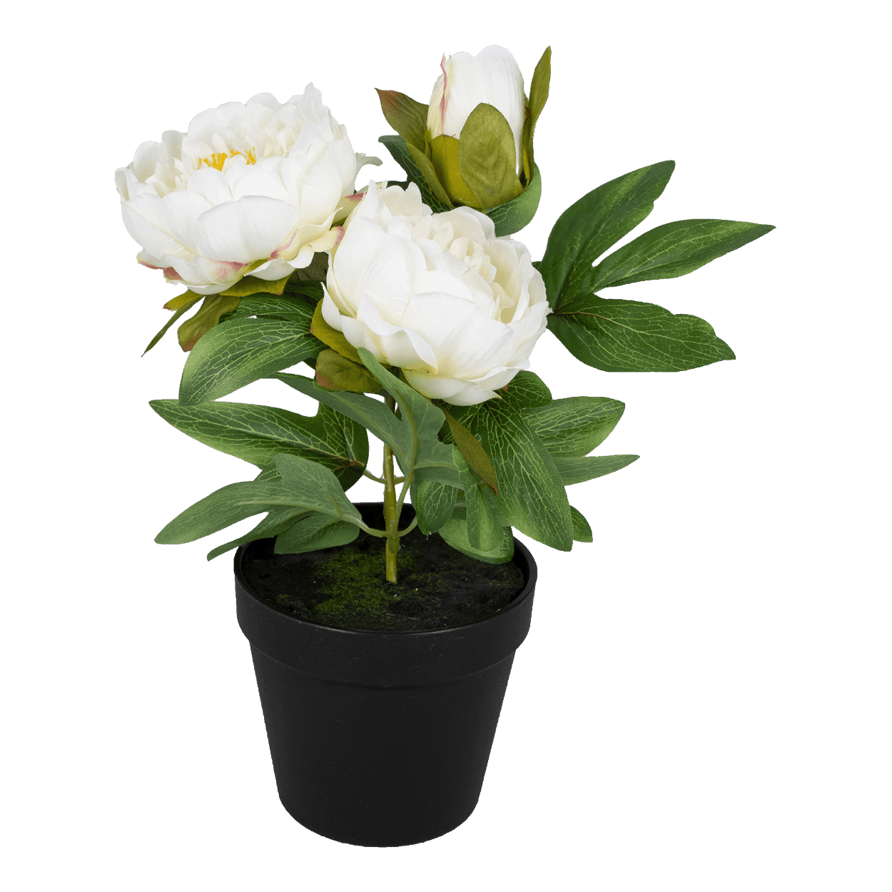 Kunstbloemen voor buiten HOME CREATION® kopen bij ALDI België