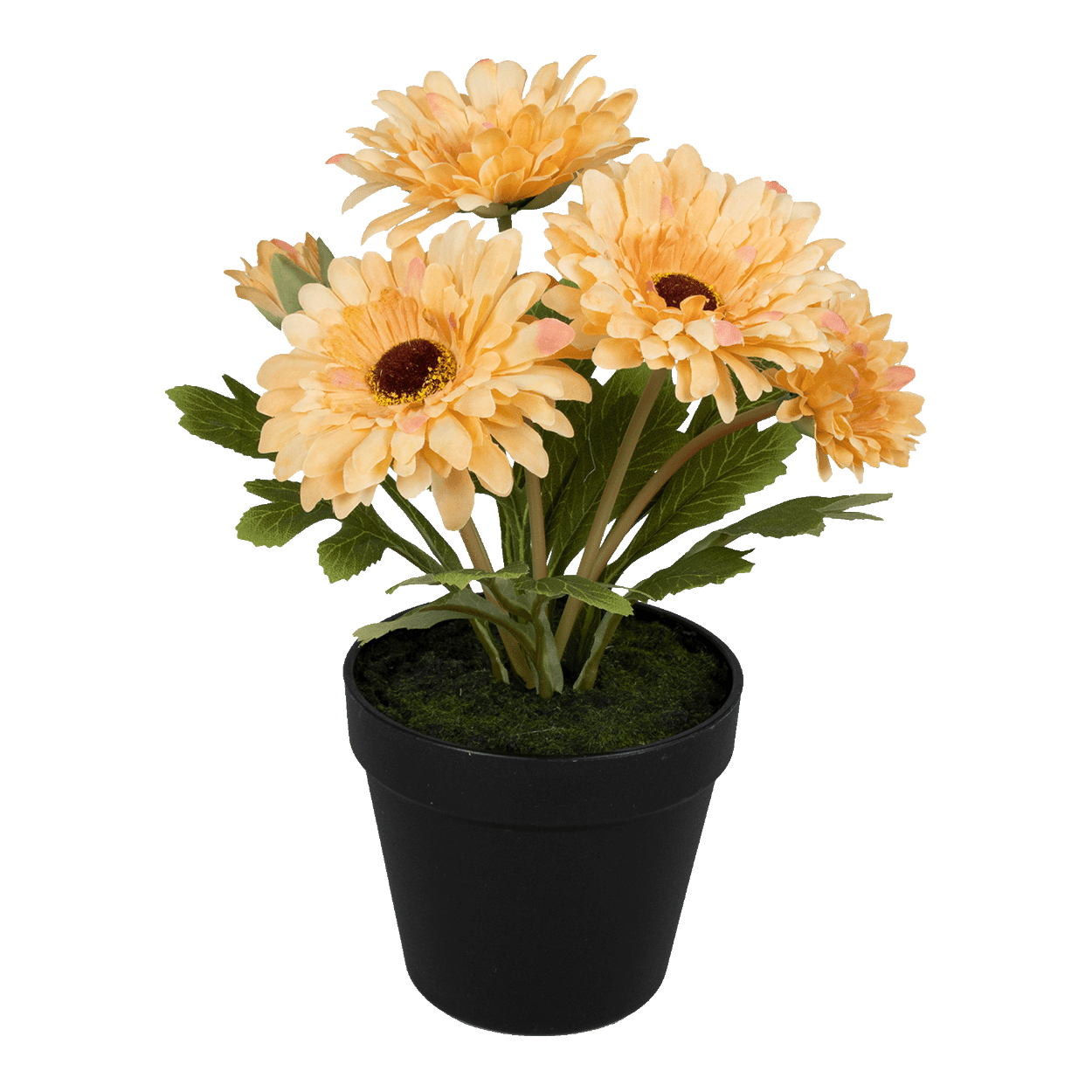 Kunstbloemen voor buiten HOME CREATION® kopen bij ALDI België