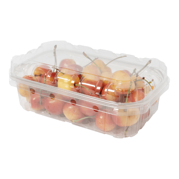 Witbuikkersen kopen bij ALDI België