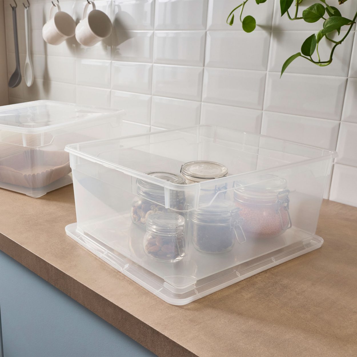 Doorzichtige dozen HOME CREATION® kopen bij ALDI België