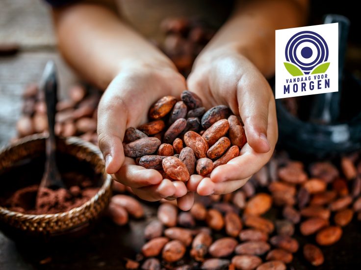 Onze producten | ALDI België