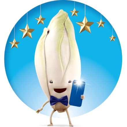 Alles voor een betaalbare kerst | ALDI België