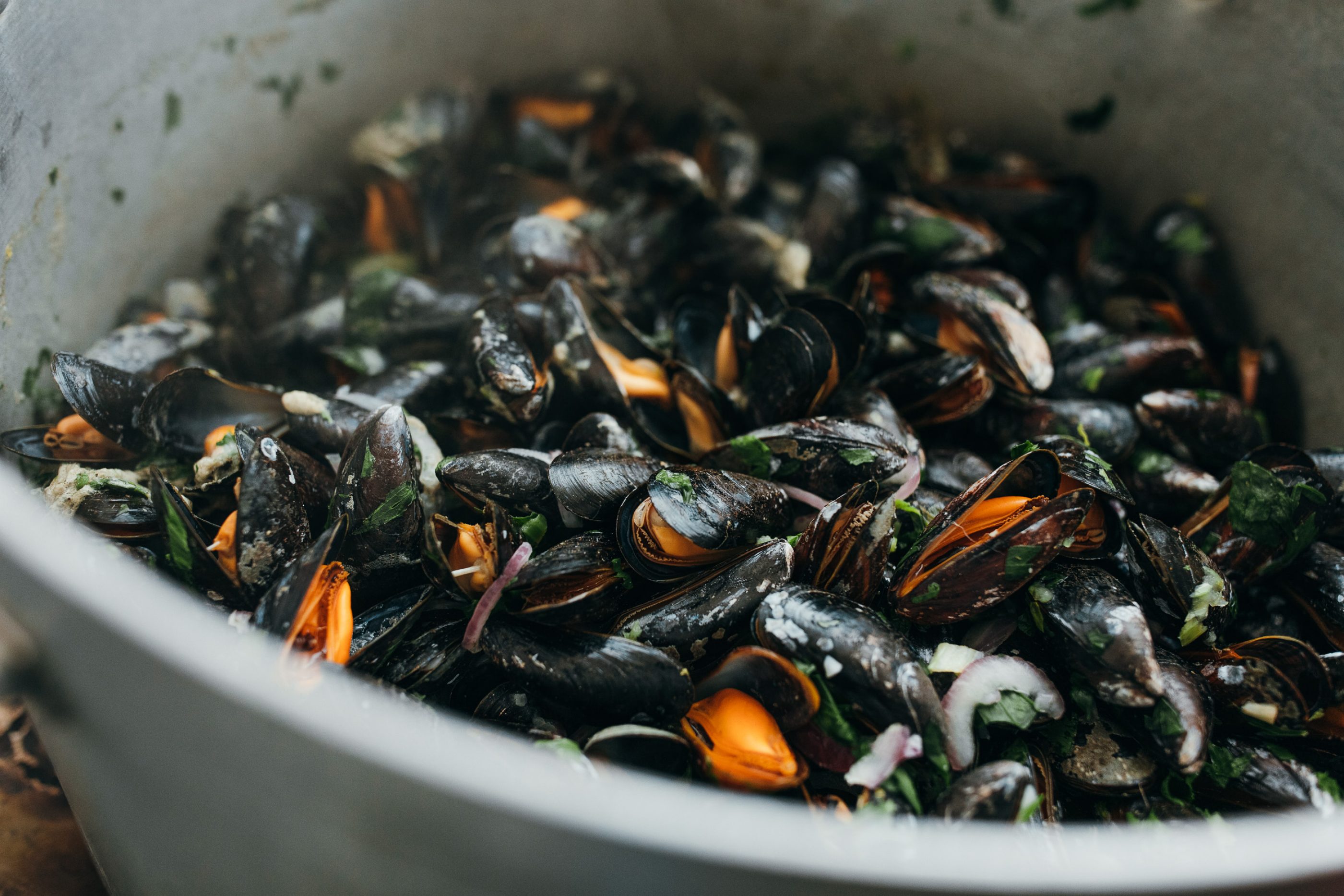 Verse Zeeuwse mosselen | ALDI België