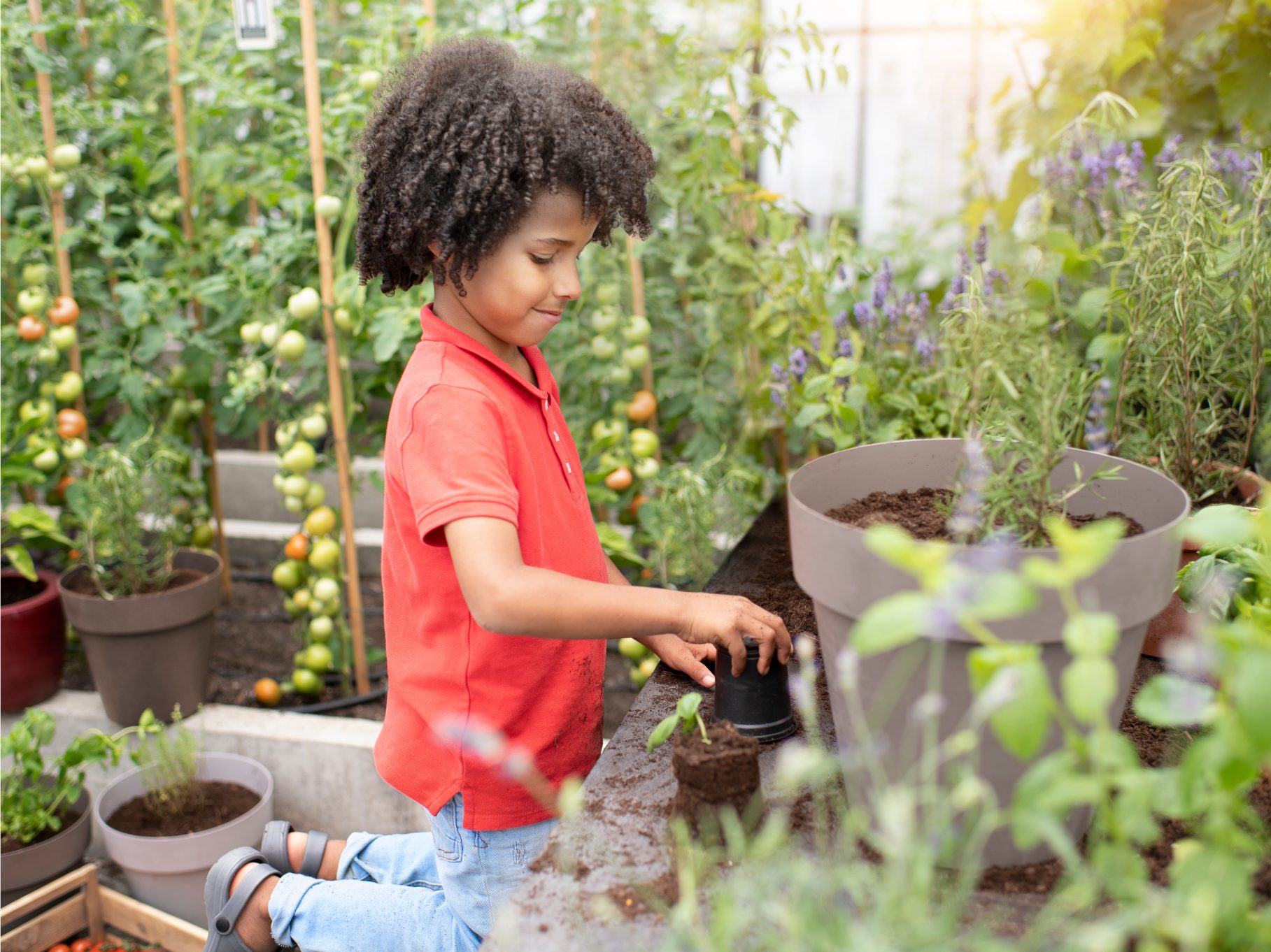 Tips om zelf te tuinieren | ALDI België