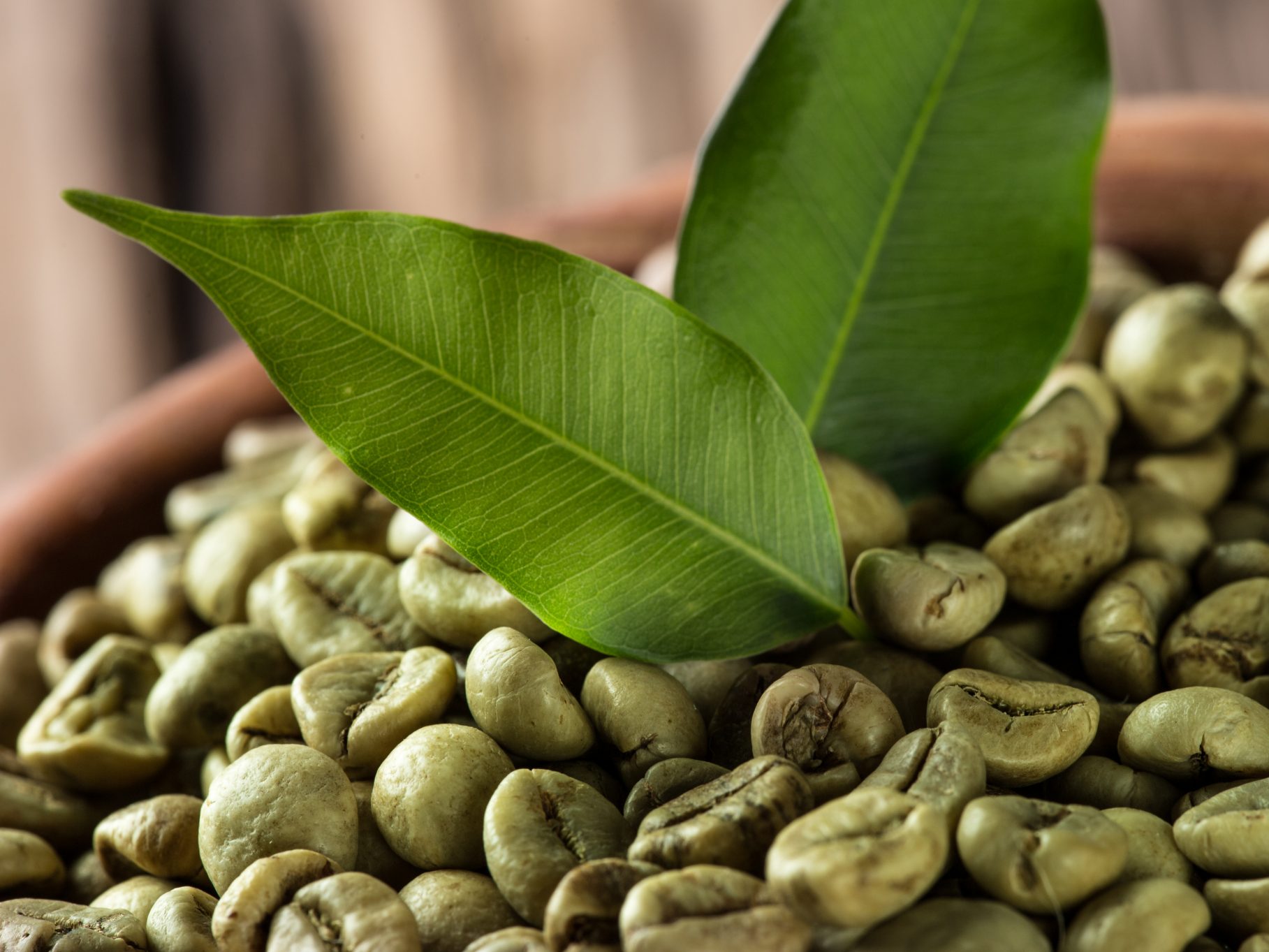 Les cafés verts d’ALDI Belgique – Seulement la meilleure qualité pour vous